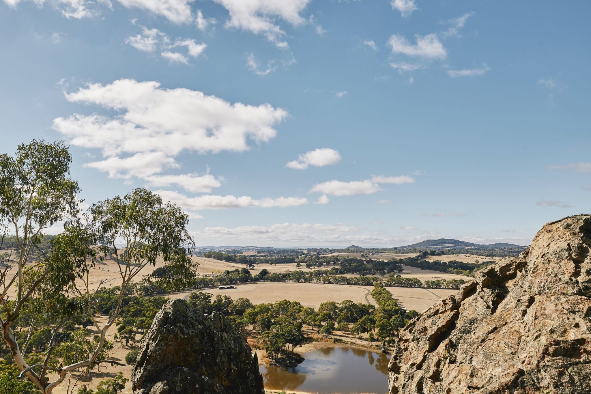 Why Gisborne? - Willow Gisborne
